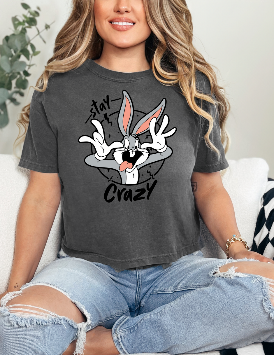 Cartoon DTF Transfers – Design Sisters and Blanks